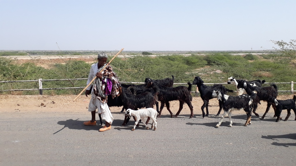 Mandvi – Heritage Tourism – Global Bhatia